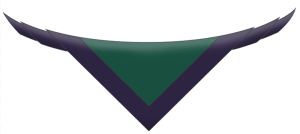 Groups and Units – Worthing Scouts
